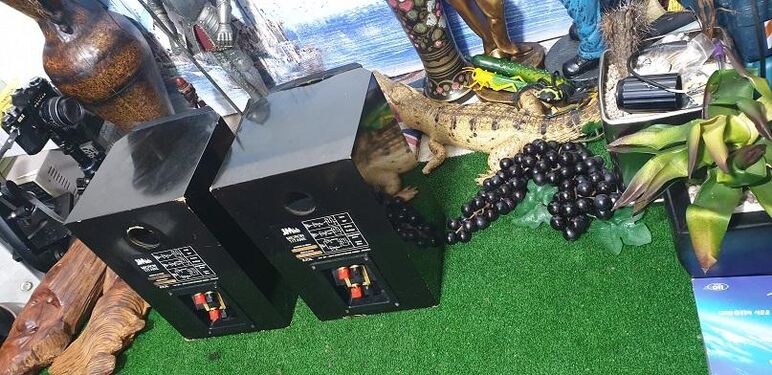 소리전자 - JM Lab MICRON TITANE.스피커/1조[2개]